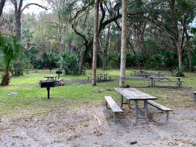 silver glen springs 7