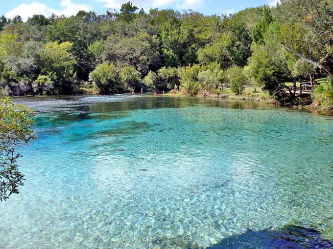 silver glen springs 8