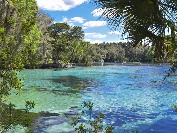 silver glen springs 9