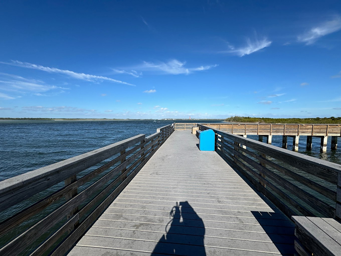 smyrna dunes park 3