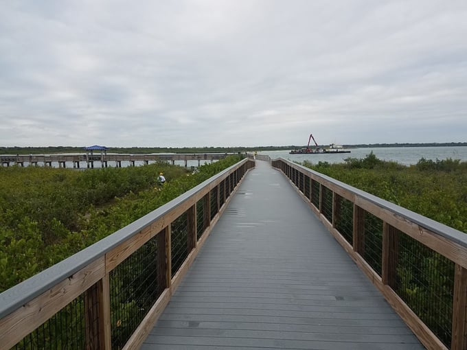 smyrna dunes park 5