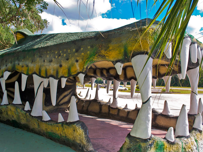 swampy the alligator 3