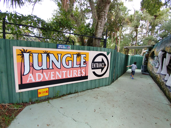 swampy the alligator 4