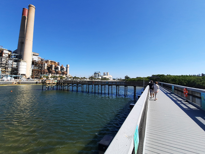 tampa electrics manatee viewing center