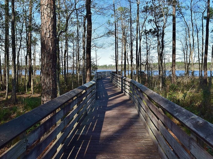 tarkiln bayou preserve state park 1