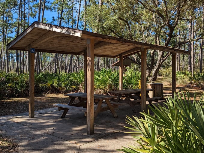 tarkiln bayou preserve state park 7