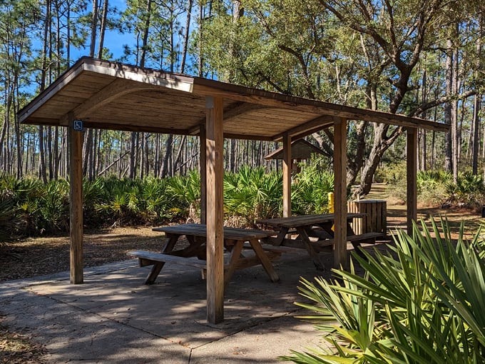 tarkiln bayou preserve state park 7