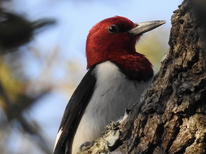 tarkiln bayou preserve state park 8
