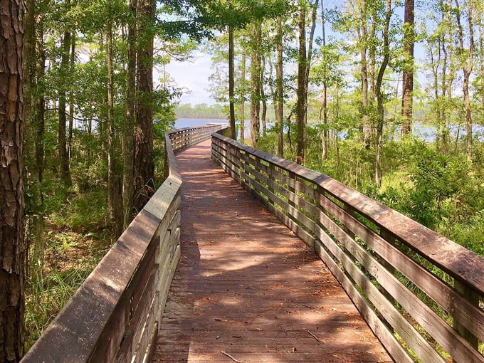tarkiln bayou preserve state park 9