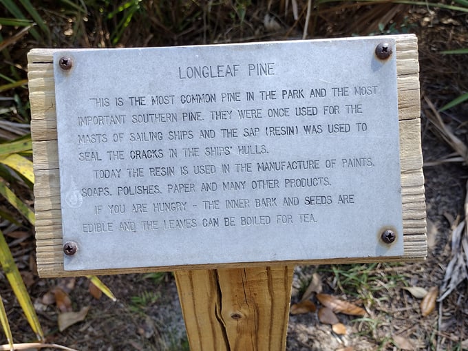 tarkiln bayou preserve state park 9