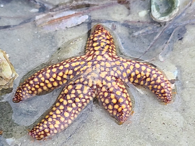 tarpon springs aquarium and animal sanctuary 5