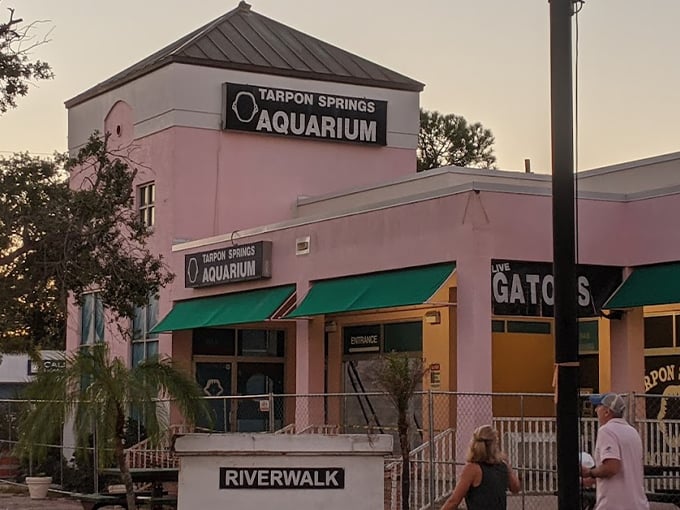 tarpon springs aquarium and animal sanctuary 1