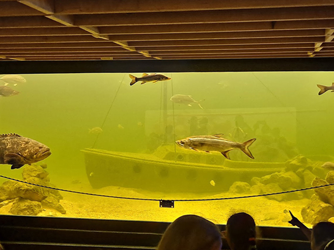 tarpon springs aquarium and animal sanctuary 8