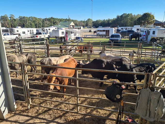 the annual clay county fair 3