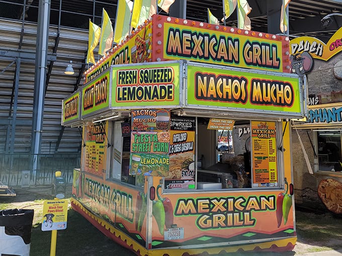 the annual clay county fair 4