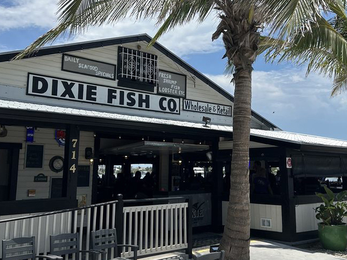 the dixie fish co 1