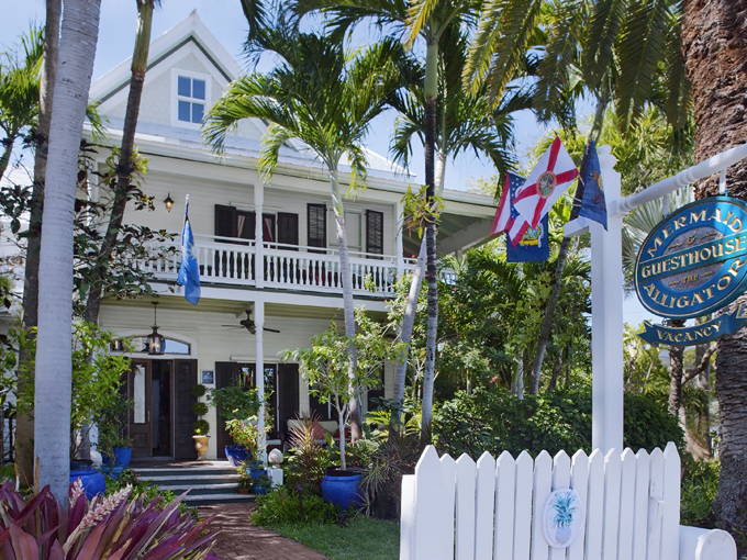 the mermaid the alligator