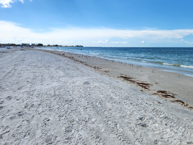 treasure island beach trail 6