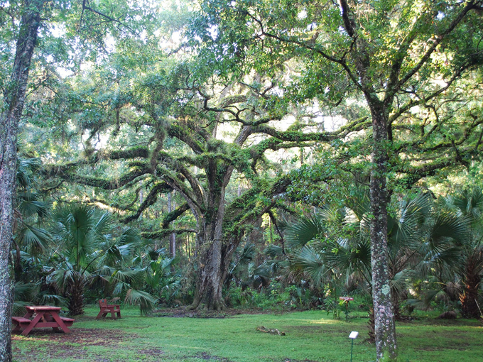 trout lake nature center 1