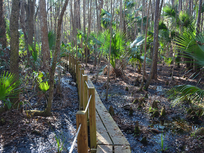 trout lake nature center 1