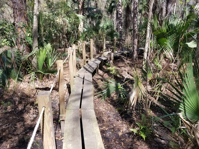 trout lake nature center 2
