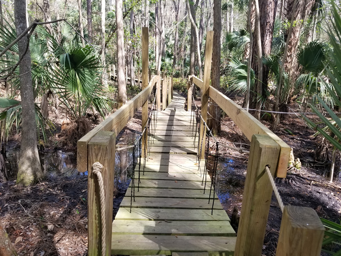 trout lake nature center 2