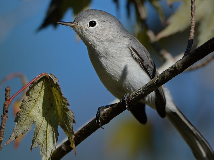 trout lake nature center 2