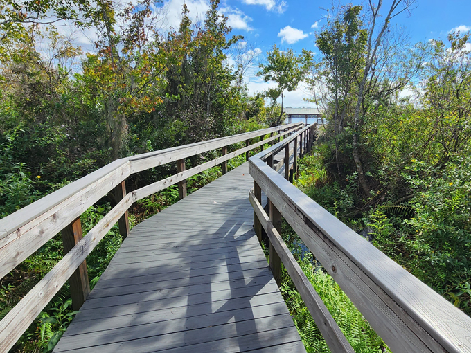 trout lake nature center 3