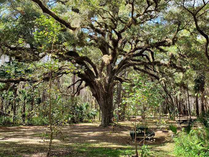 trout lake nature center 3