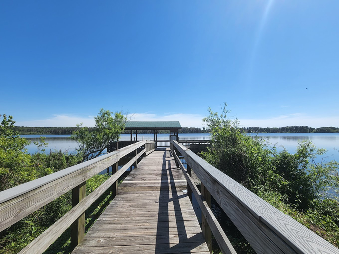 trout lake nature center 3