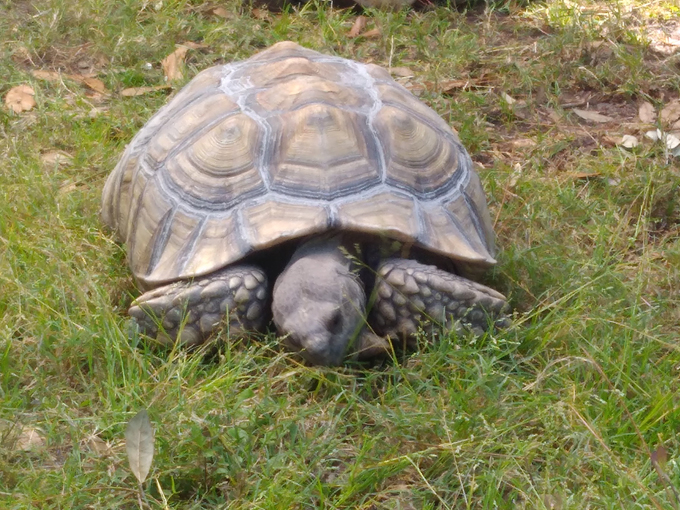 trout lake nature center 4