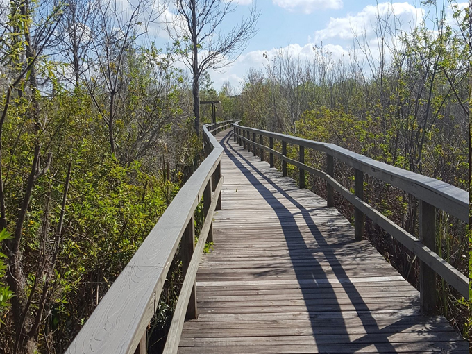 trout lake nature center 4