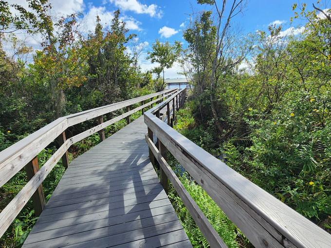 trout lake nature center 4