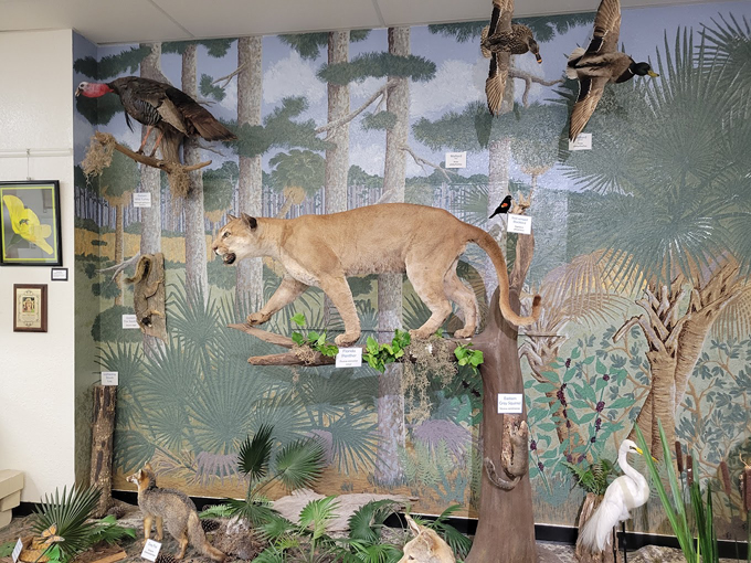 trout lake nature center 5