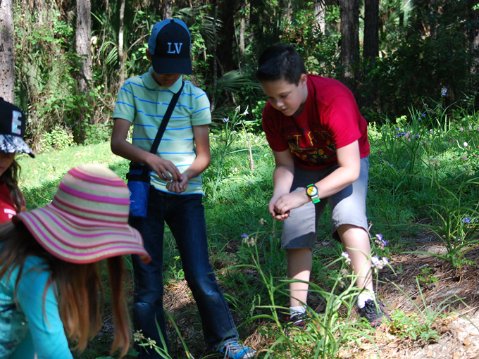 trout lake nature center 6