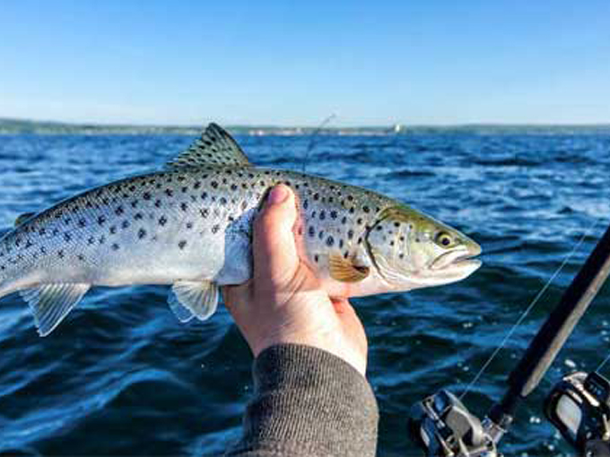 trout lake nature center 7