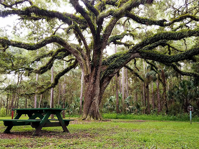 trout lake nature center 8