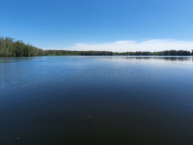 trout lake nature center 9
