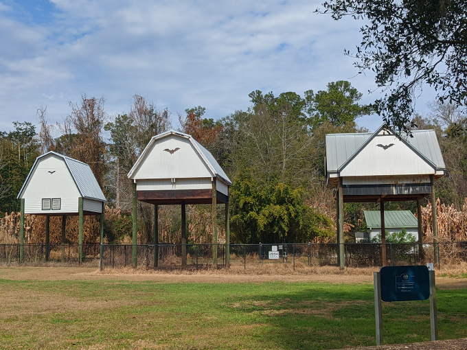 university of florida bat houses 2
