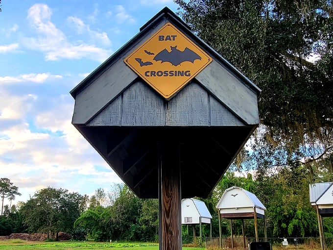 university of florida bat houses 8