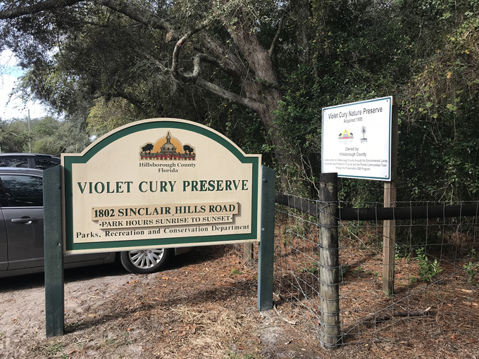 violet cury nature preserve 1
