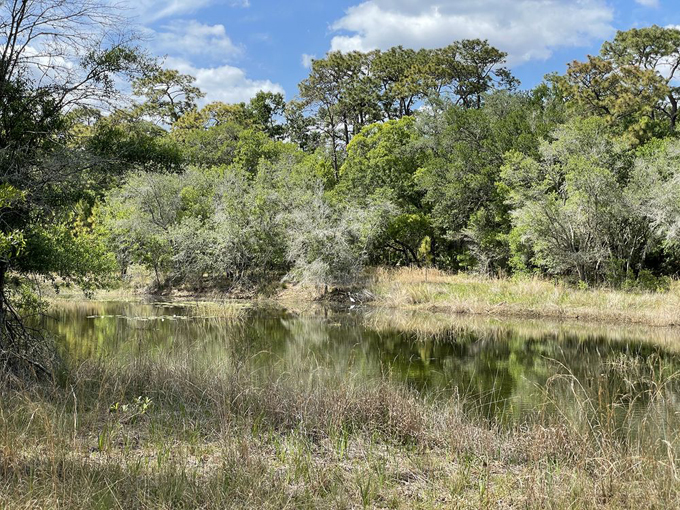 violet cury nature preserve 6