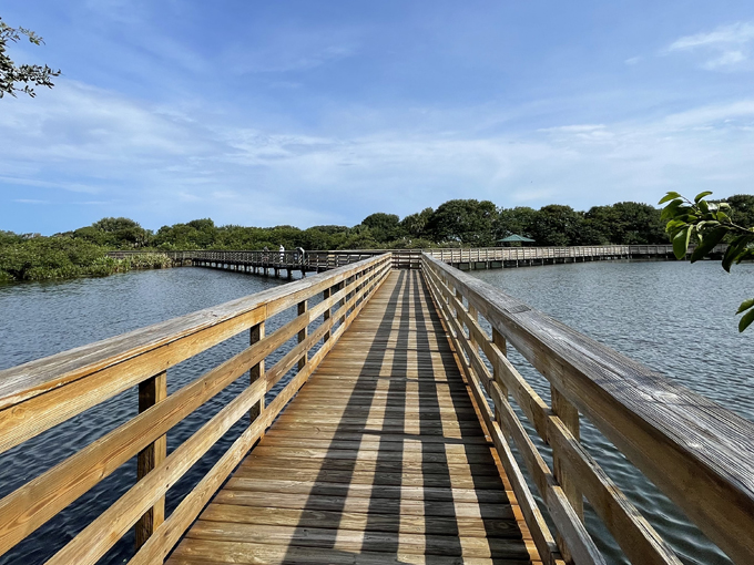 wakodahatchee wetlands 4
