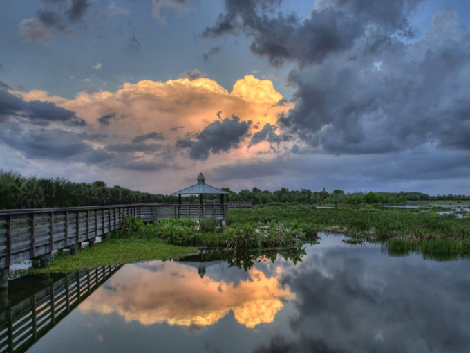 wakodahatchee wetlands 8