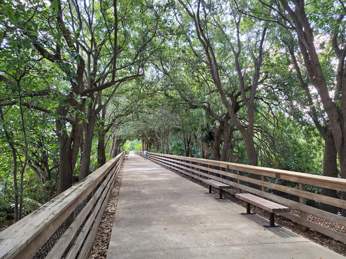 wakodahatchee wetlands 9