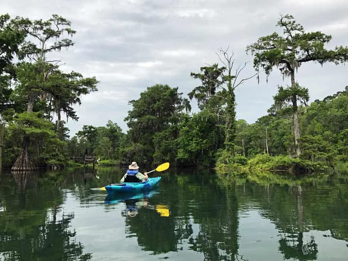 wakulla springs lodge 8
