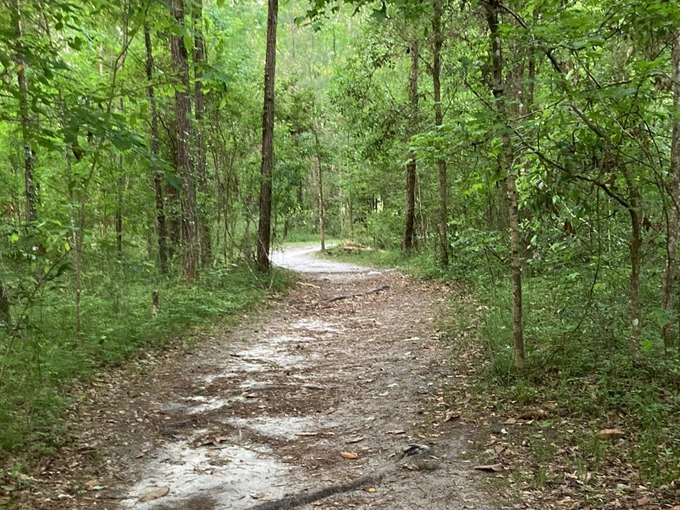 wakulla springs lodge 9