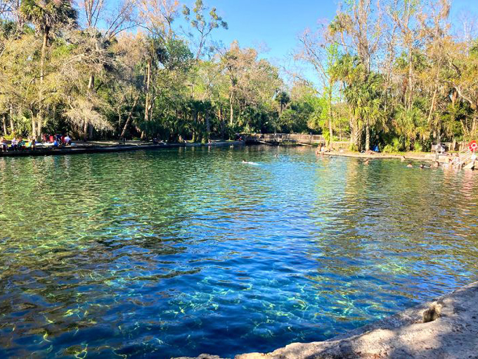 wekiwa springs 3