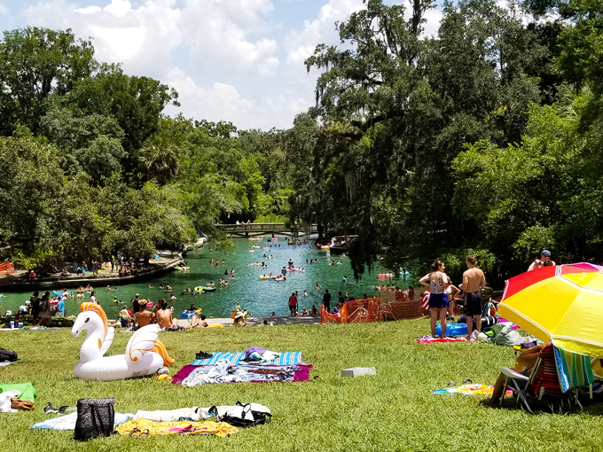 wekiwa springs 7