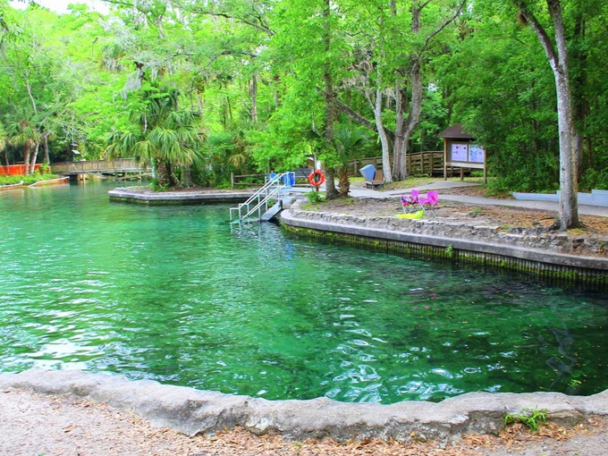 wekiwa springs 8
